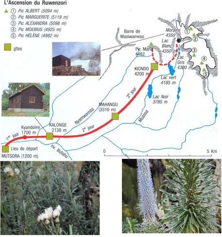 Memoire Online - Gestion et administration d'une aire protégée ...