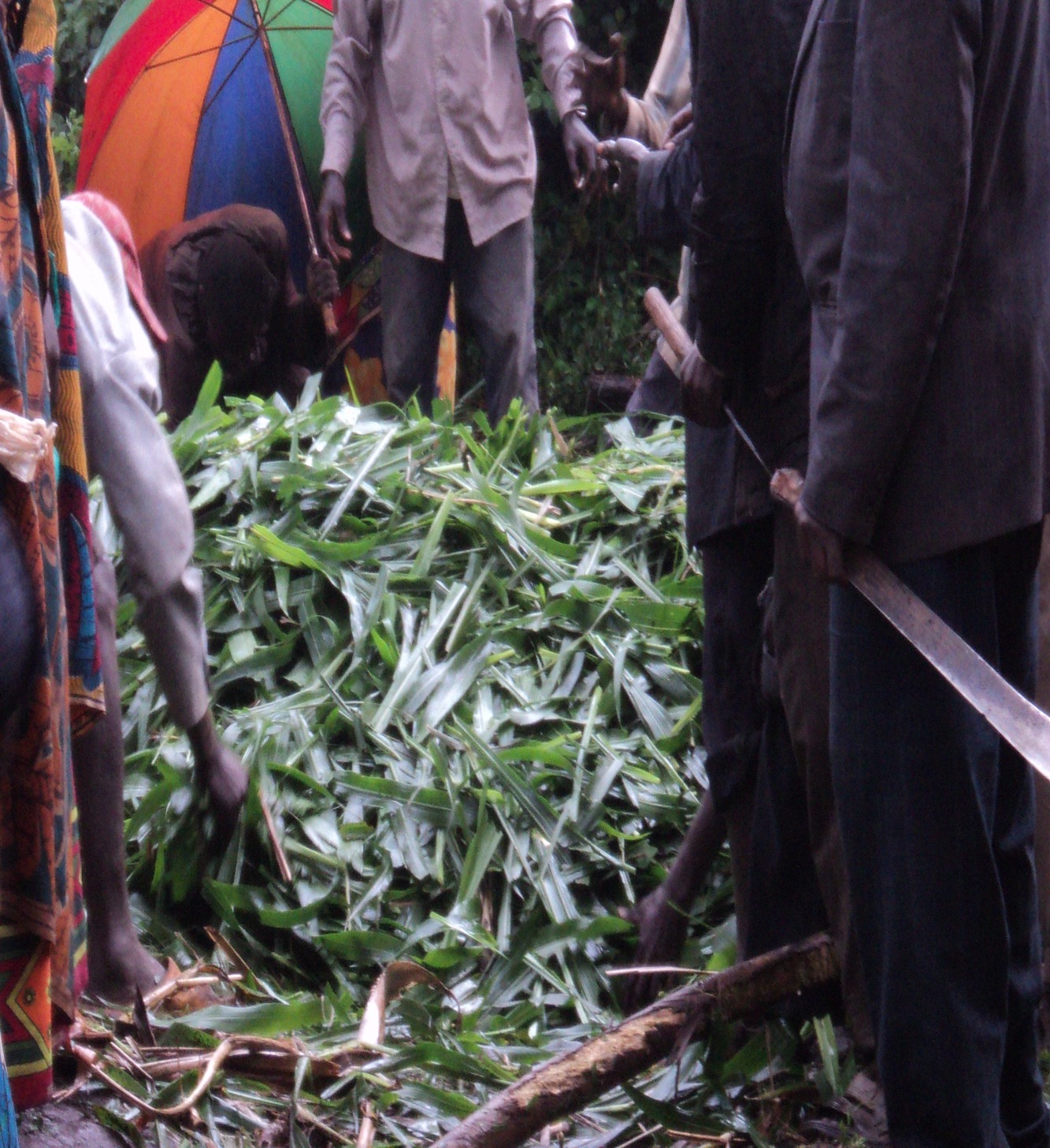 Memoire Online - Mémoire sur la technique de conservation du fourrage ...