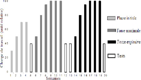 Memoire Online - Le développement de la force explosive des membres ...