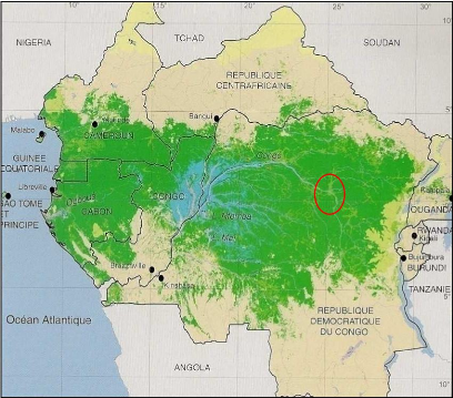 Memoire Online - Typologie des forêts denses des environs de Kisangani ...